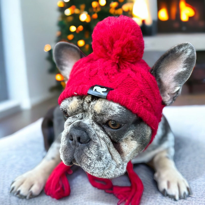 Dog Beanies - Etsy