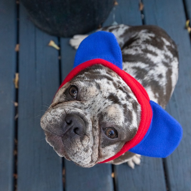 Dog Winter Hat - Etsy