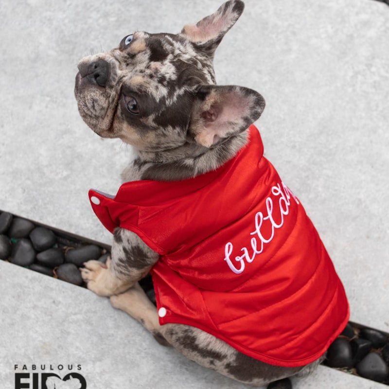 French Bulldog Clothes for Dogs - Etsy