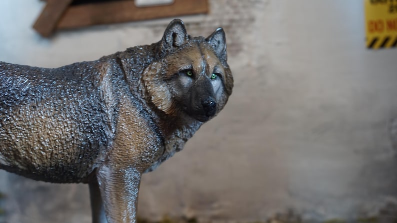Custom Wolf Figure 1:6 Wolf Repaint Cust - Etsy Australia