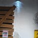 Custom Background for Action Figures 1/6 Dog Figures Setup Diorama ...