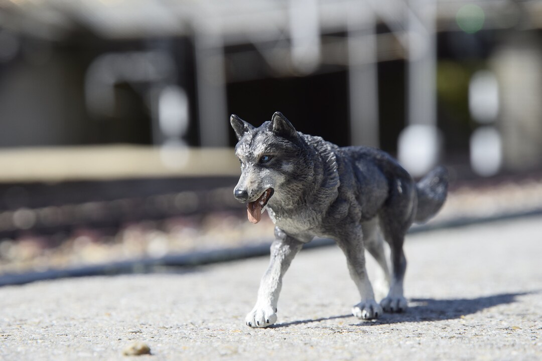 Custom Dog Figure Husky Sled Dog Customized Repaint Papo Wolf - Etsy