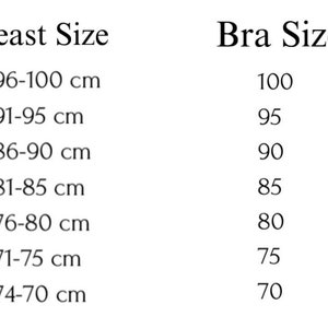 Lilac Transparent Bra Set - Etsy