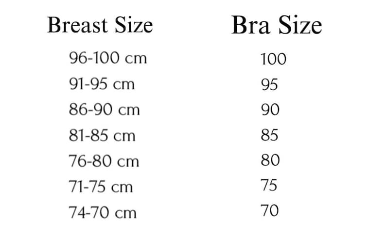 Lilac Transparent Bra Set - Etsy