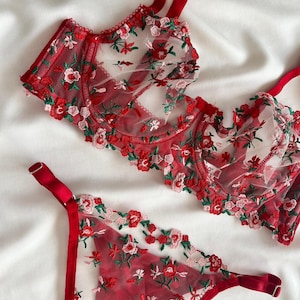 Red Charm Transparent Bra Set - Etsy