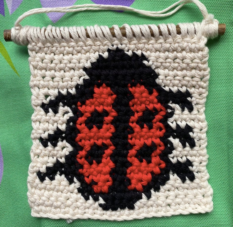 Ladybird Crochet Tapestry Pattern - Etsy
