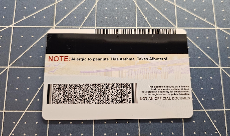 Custom Child's Driver License, Safety ID, Novelty Gift - Etsy