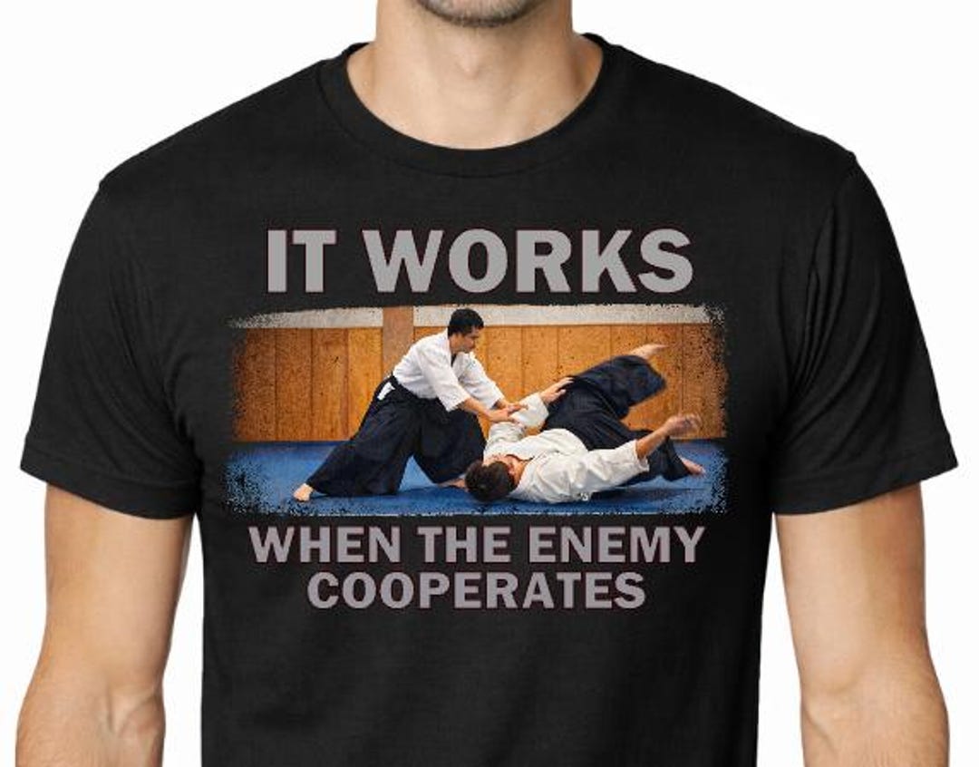 Bullshido Funny Martial Arts Humor Tee - Etsy