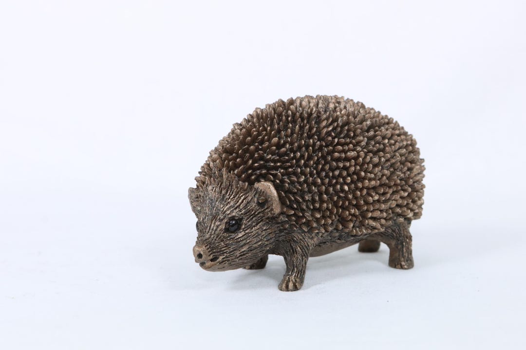 Zak Hedgehog Thomas Meadows - Etsy