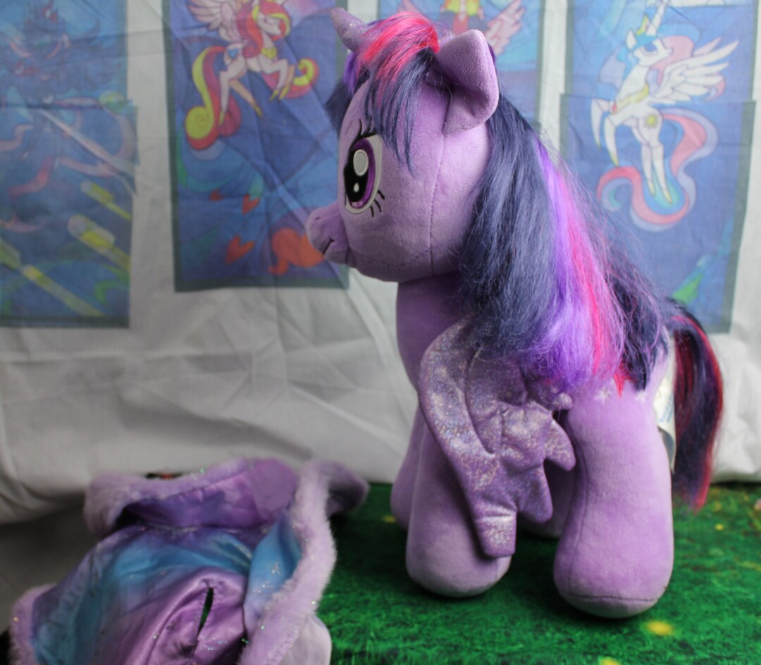 Preloved 2016 G4 MLP BAB My Little Pony Build A Bear Twilight Sparkle ...