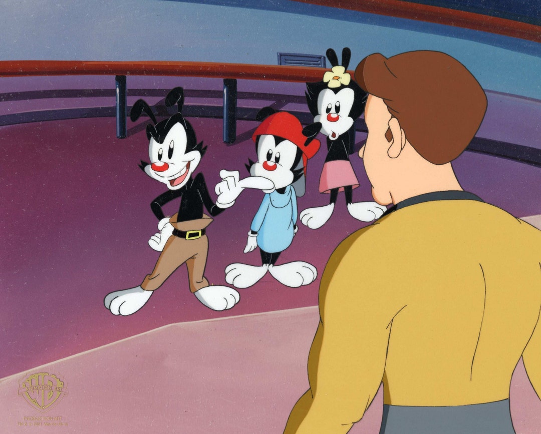 Animaniacs Original Production Cel Yakko Wakko And Dot Etsy