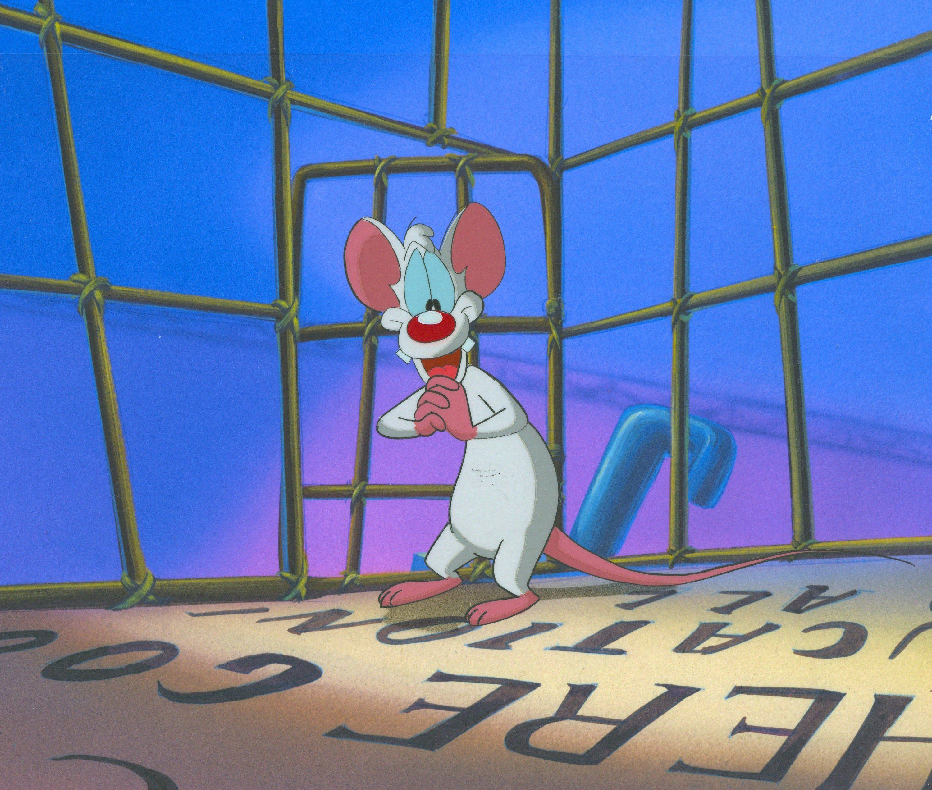 Pinky And The Brain Gif