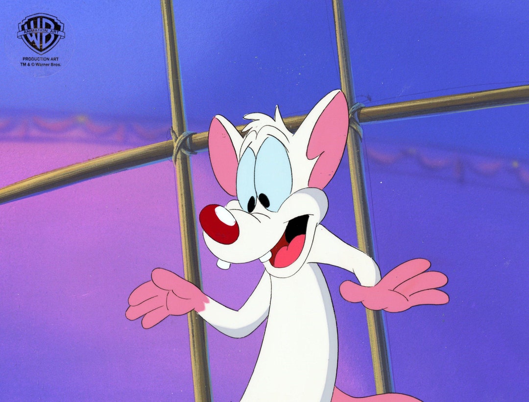 Pinky and the Brain Original Production Cel Key Setup: Pinky - Etsy
