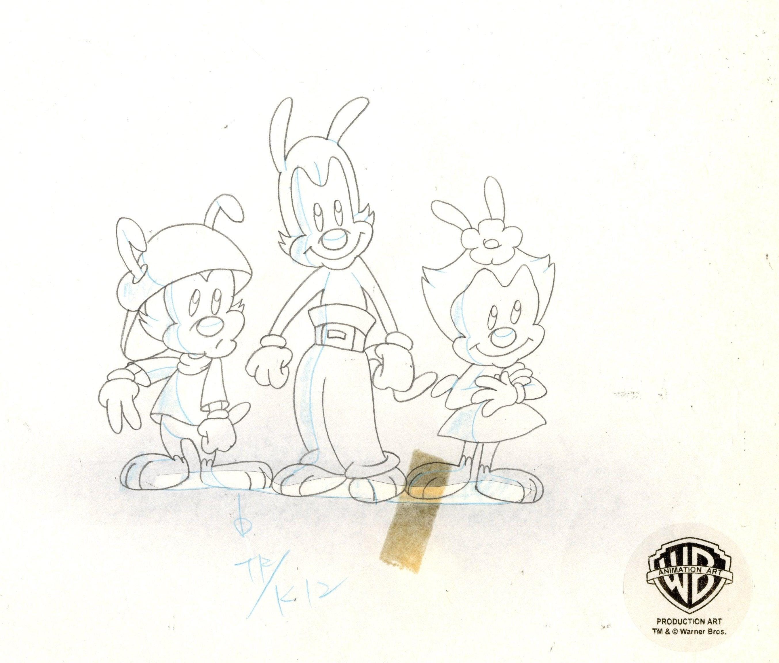 Animaniacs Characters Drawings