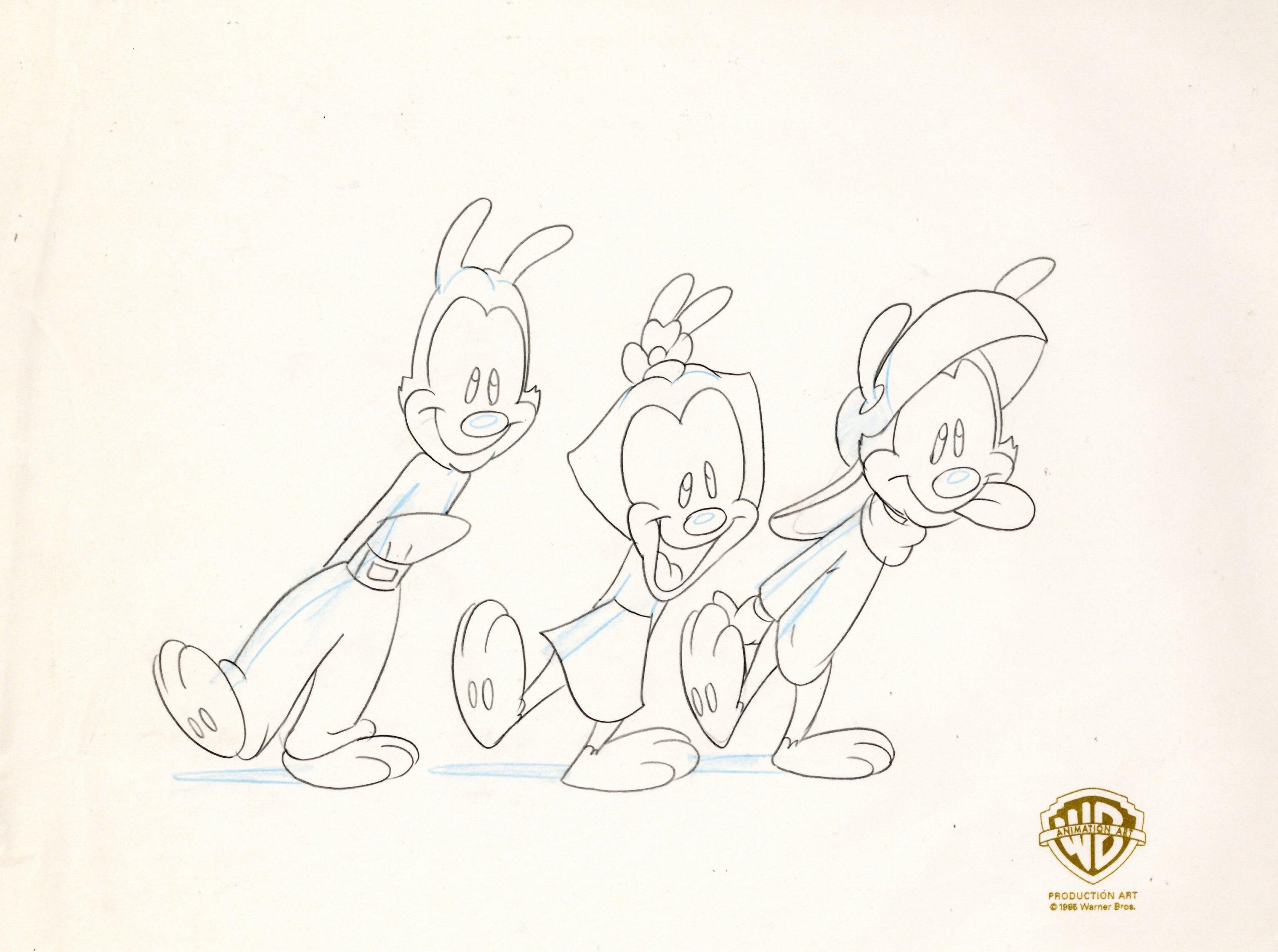 Animaniacs Characters Drawings