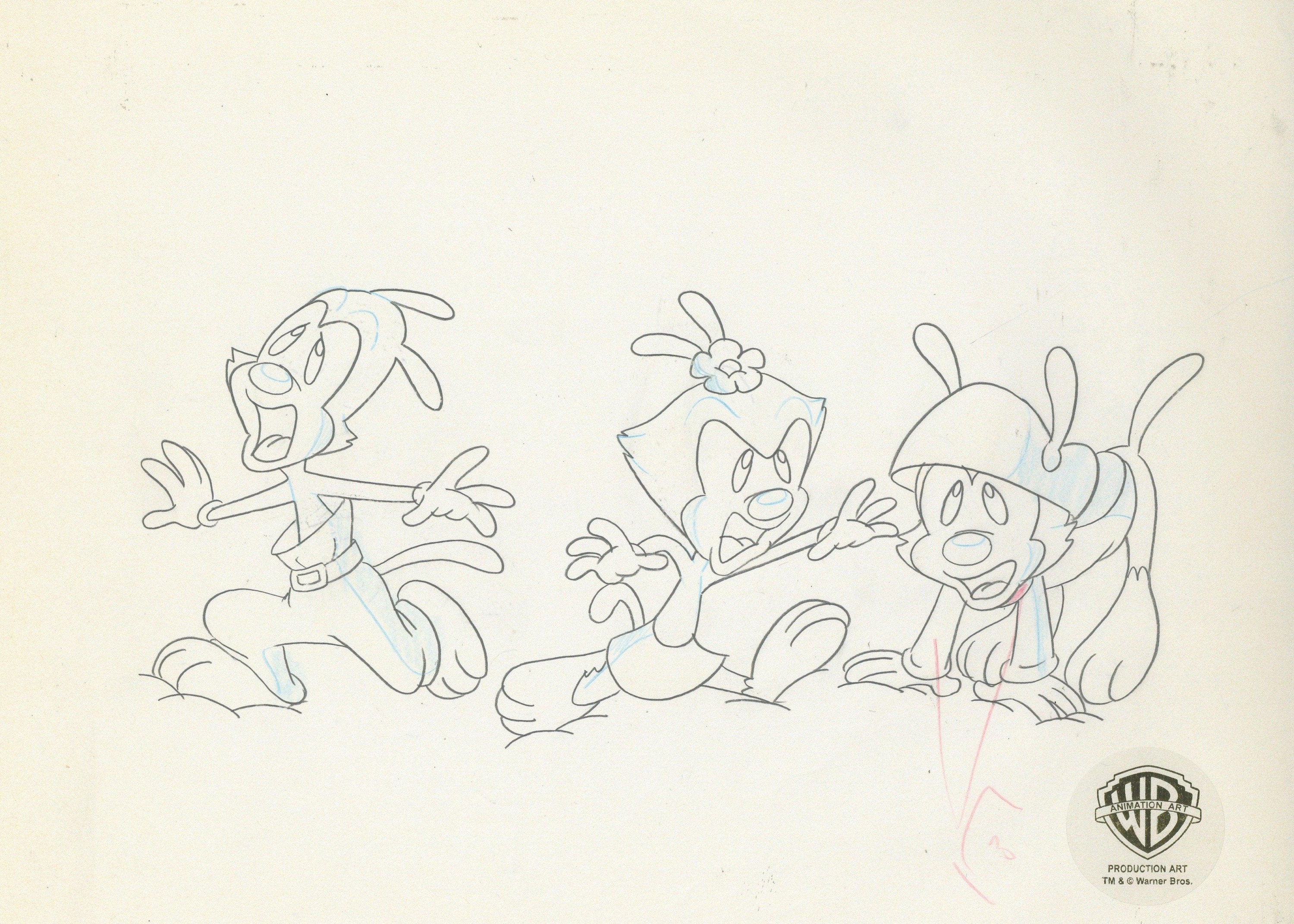 Animaniacs Original Production Drawing: Yakko, Wakko, and Dot - Etsy