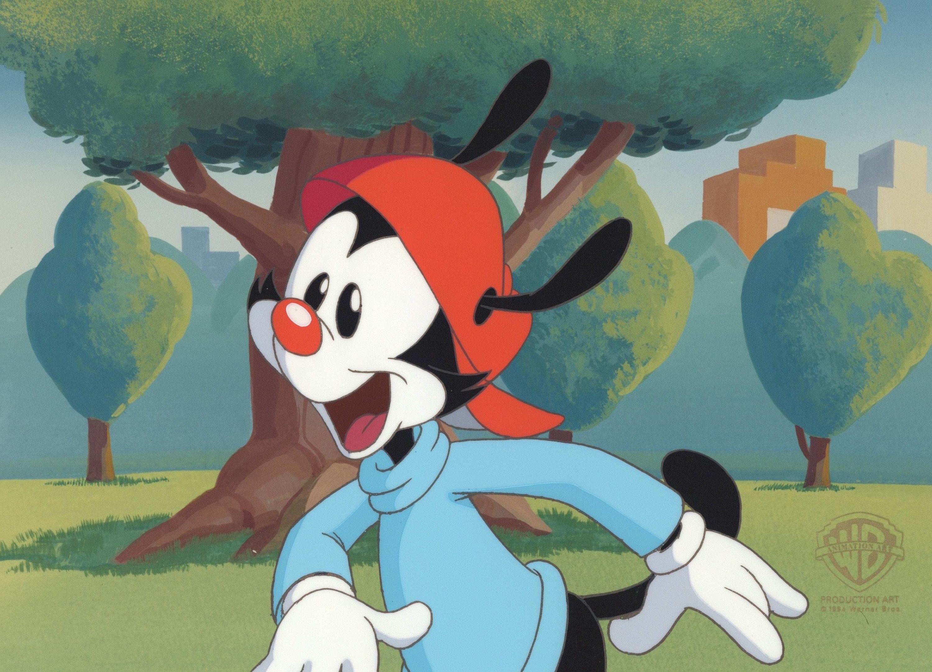 Animaniacs Original Production Cel: Wakko - Etsy