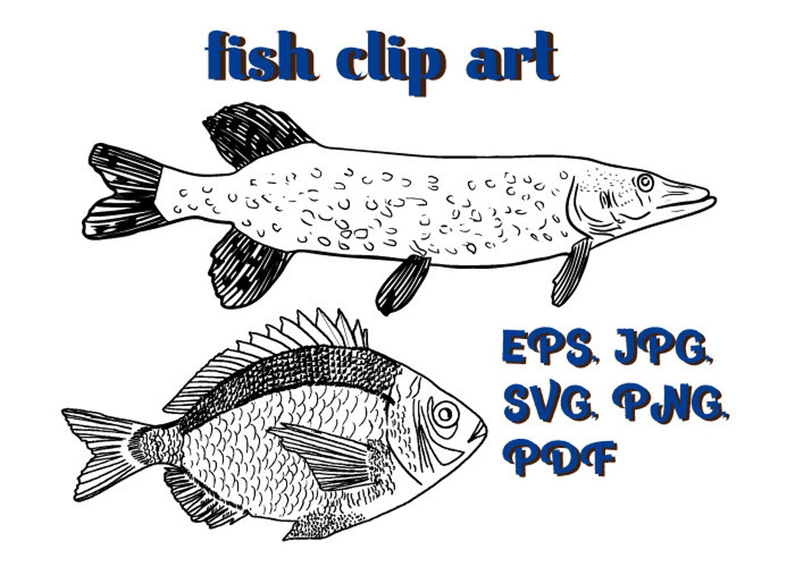 Fish Clipart SVG. Fish PNG Fish Art Fishing SVG Fishing - Etsy