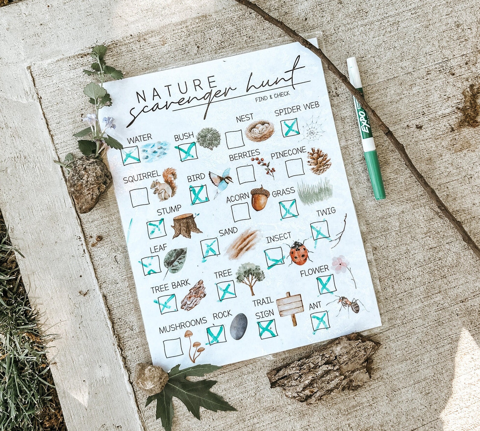 Nature Scavenger Hunt Outdoors Nature Walk Science Activity - Etsy