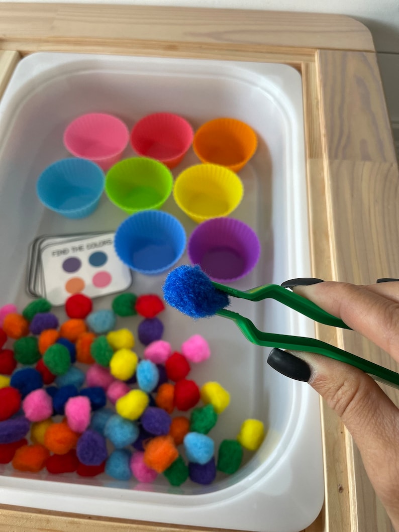 Color Sorting / Matching Sensory Bin for Toddlers - Etsy