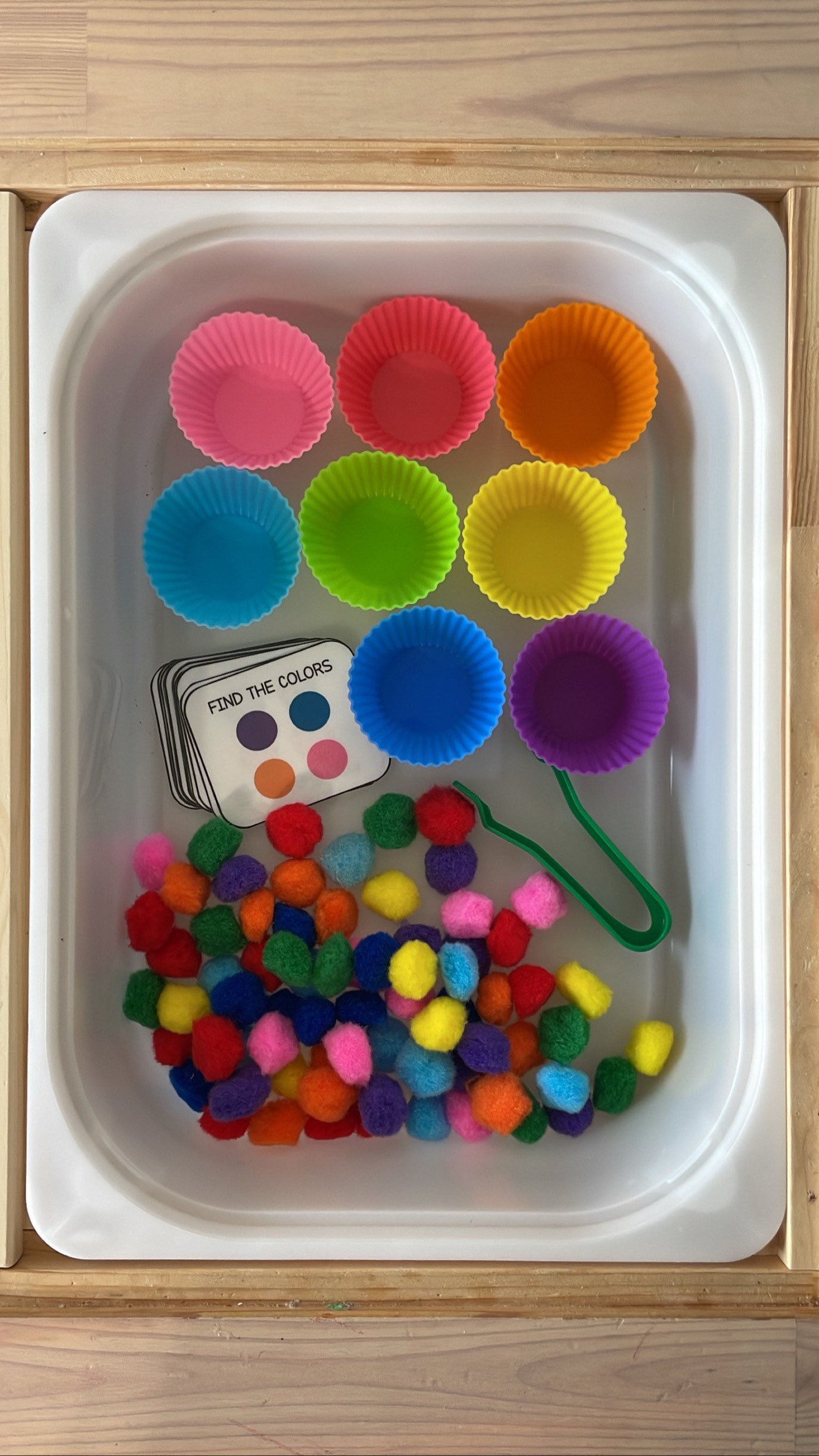 Color Sorting / Matching Sensory Bin for Toddlers - Etsy