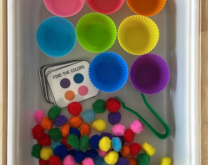 Color Sorting / Matching Sensory Bin for Toddlers - Etsy
