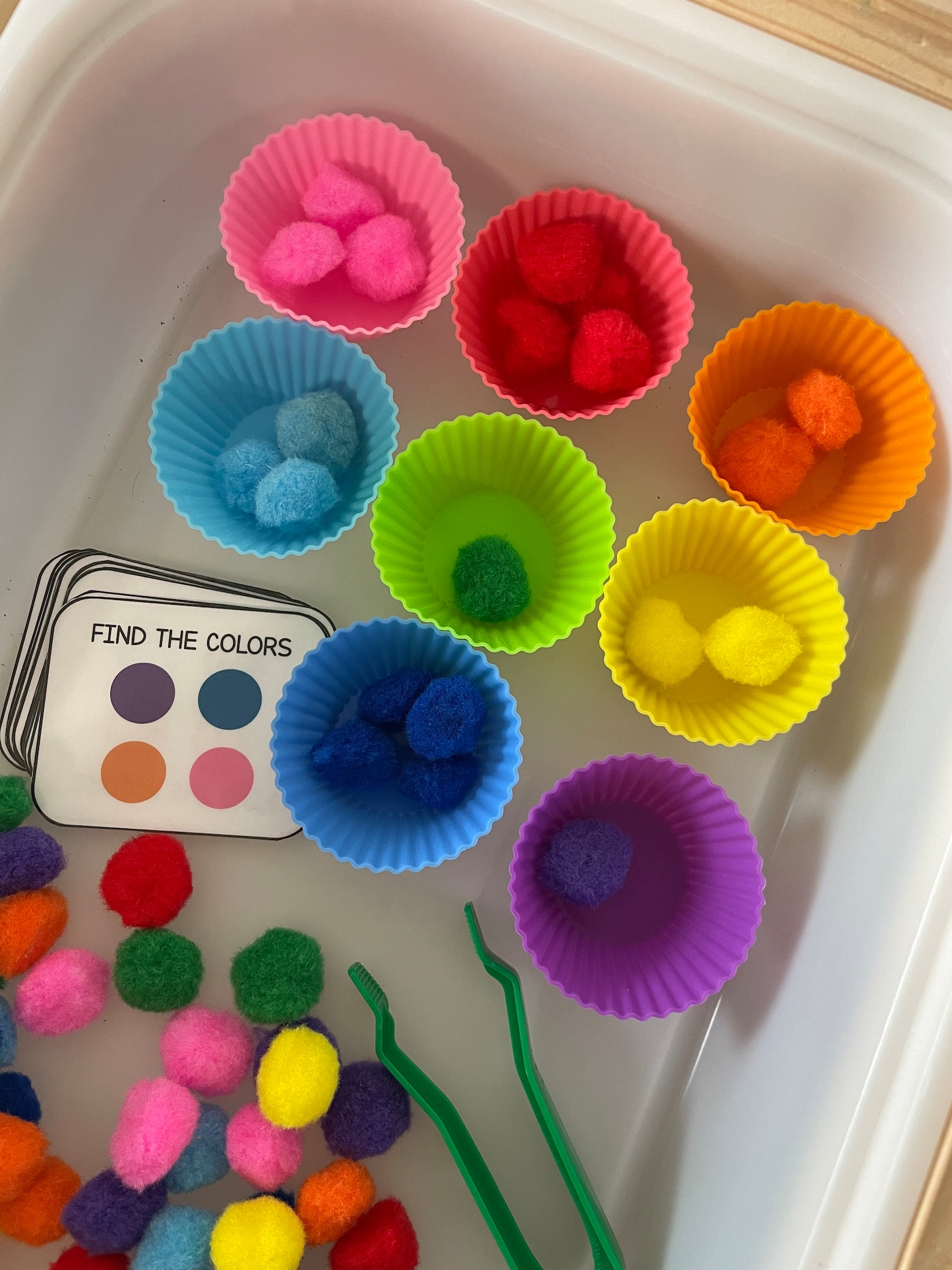 Color Sorting / Matching Sensory Bin for Toddlers - Etsy