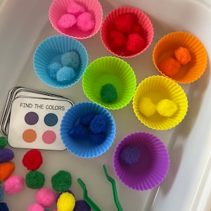 Color Sorting / Matching Sensory Bin for Toddlers - Etsy
