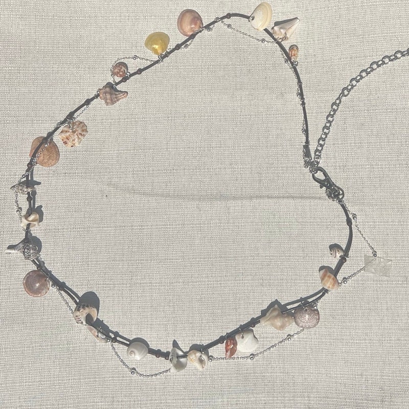 Seashell Belt - Etsy