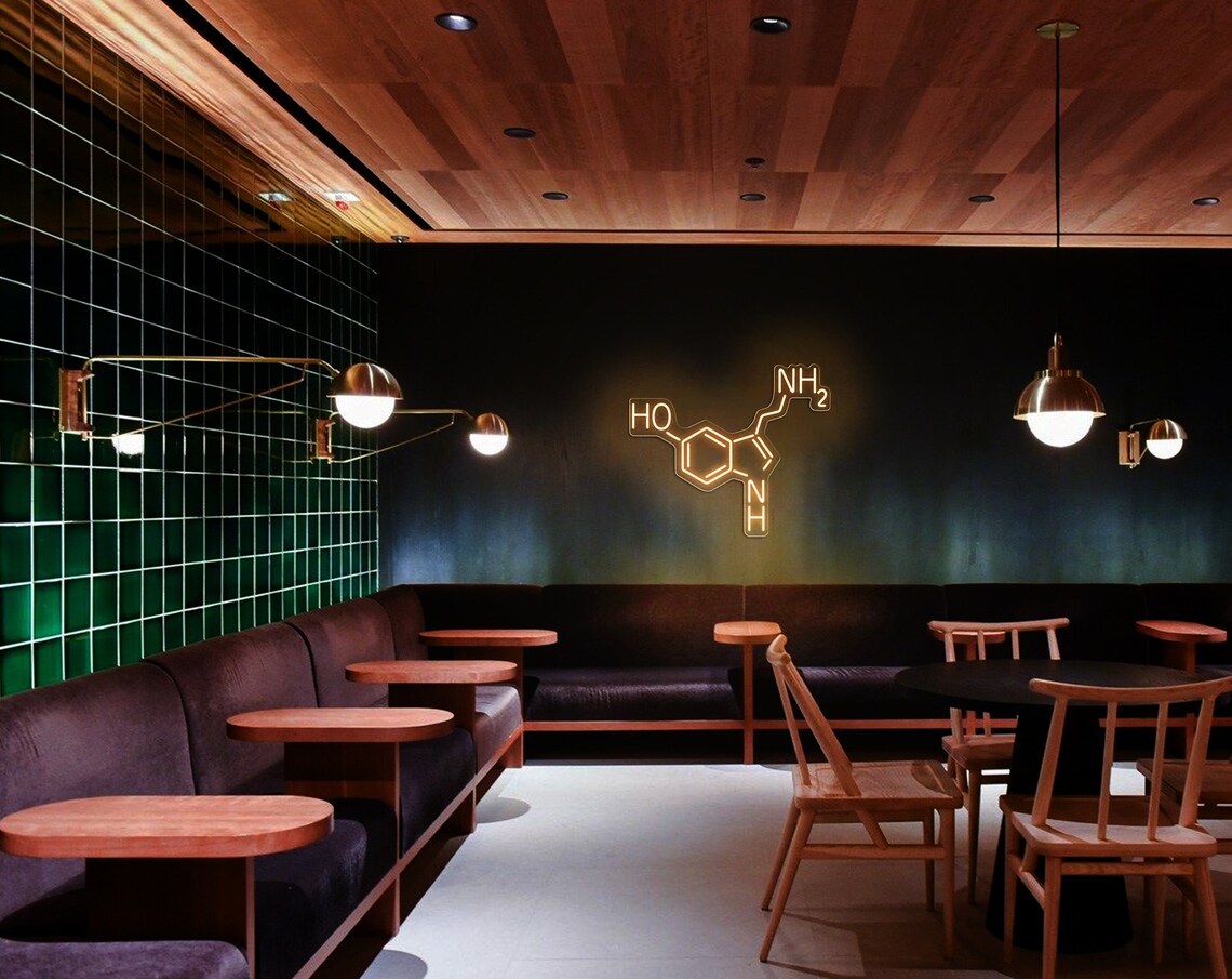 Chemistry Serotonin LED Neon Sign Cute Serotonin Molecule - Etsy