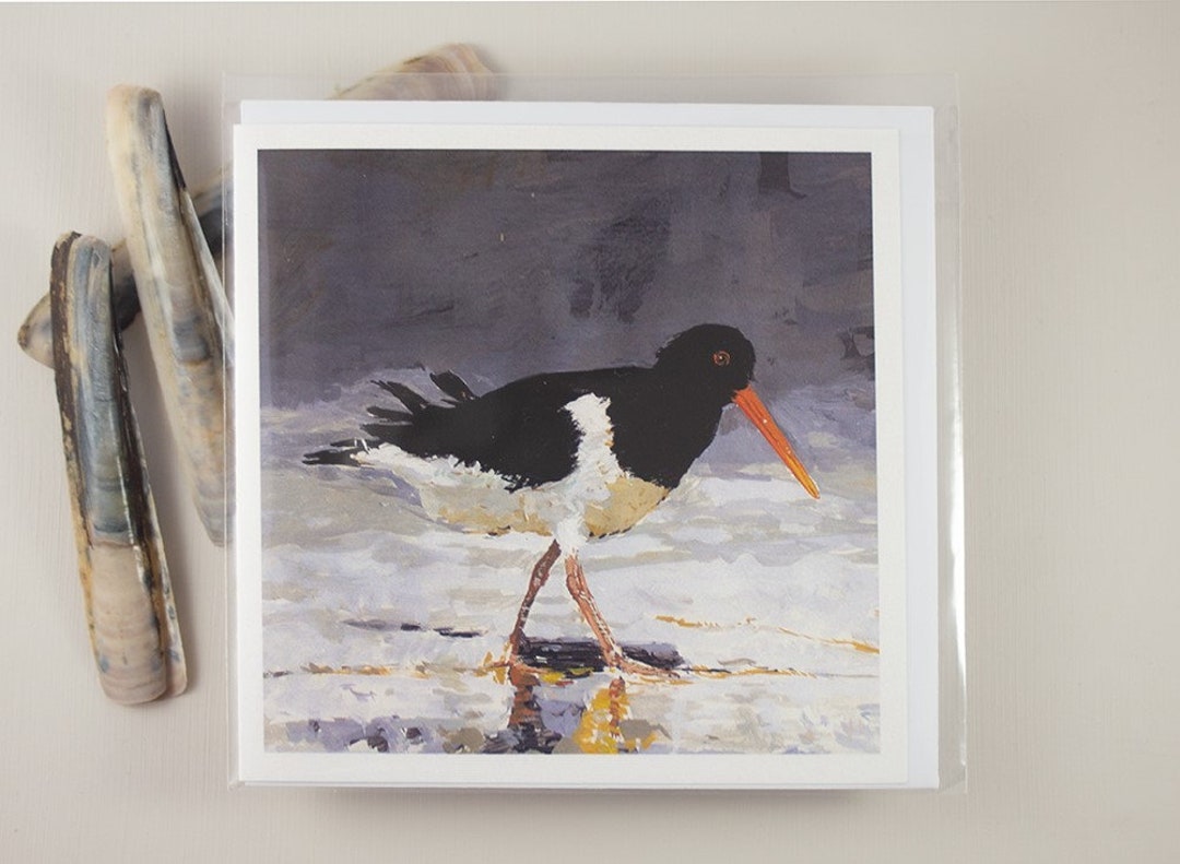 Oystercatcher Greeting Card Art Card 5x5 Inch or 12x12cm Shorebirds ...