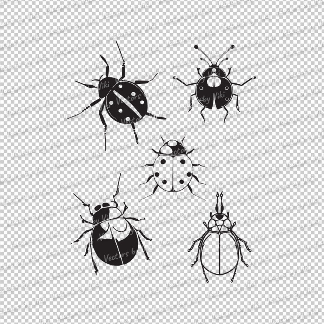 Ladybug Beetle SVG, PNG, EPS Cut Files (digital File) - Etsy