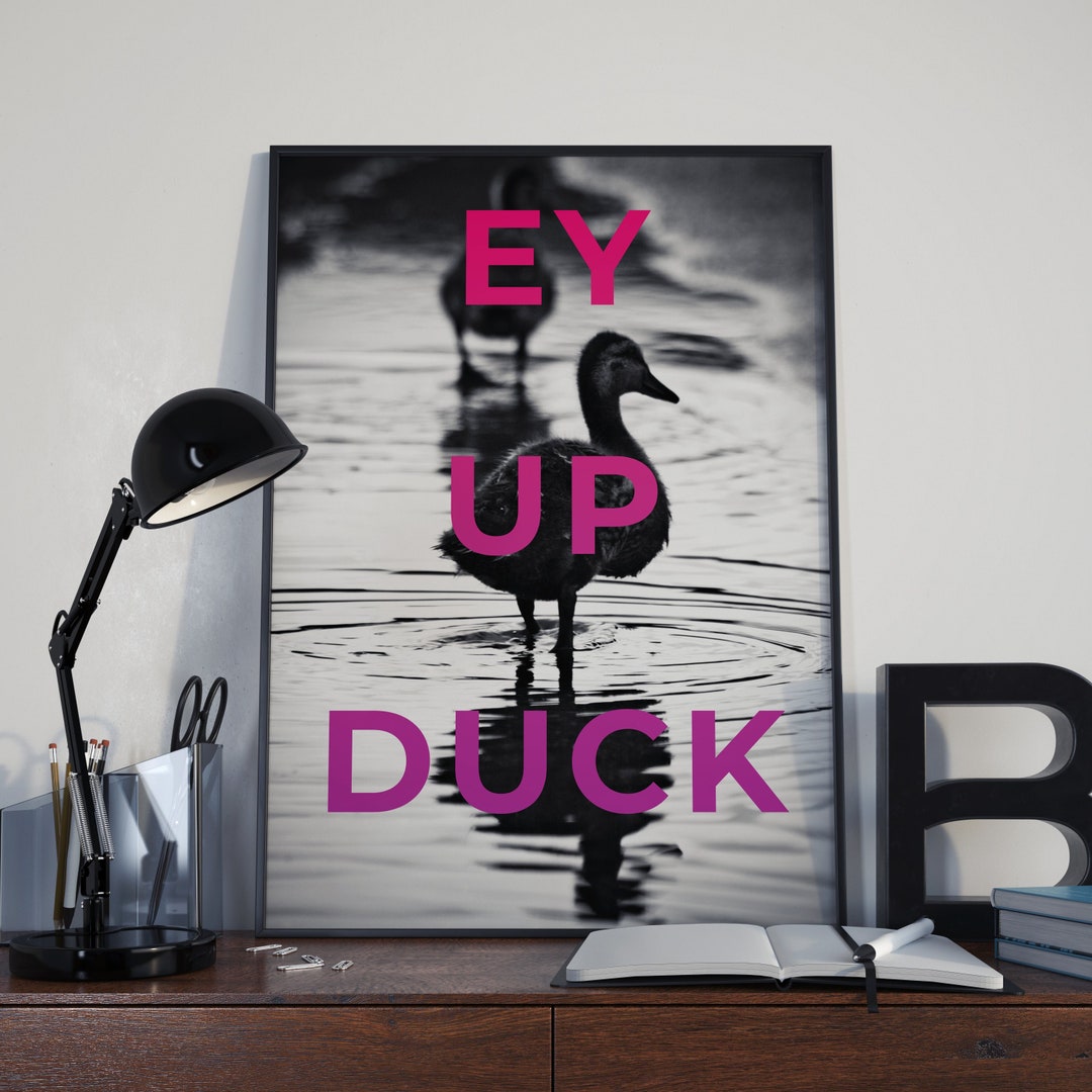 Ey up Duck - Etsy