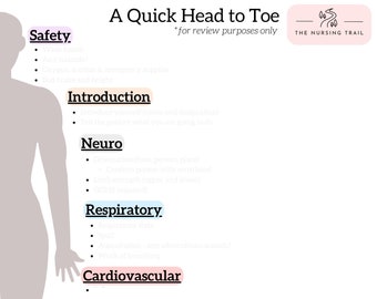 Head to Toe Cheat Sheet - Etsy