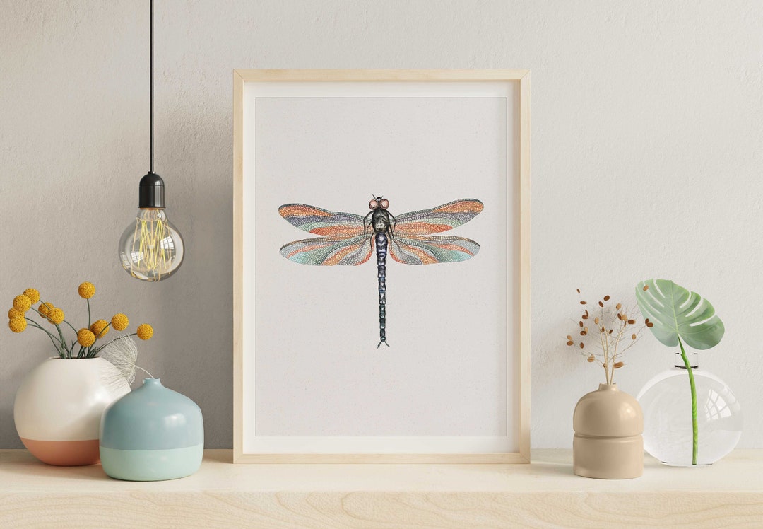 Colorful Dragonfly Print, Insect Poster, Dragonfly Art Colored ...