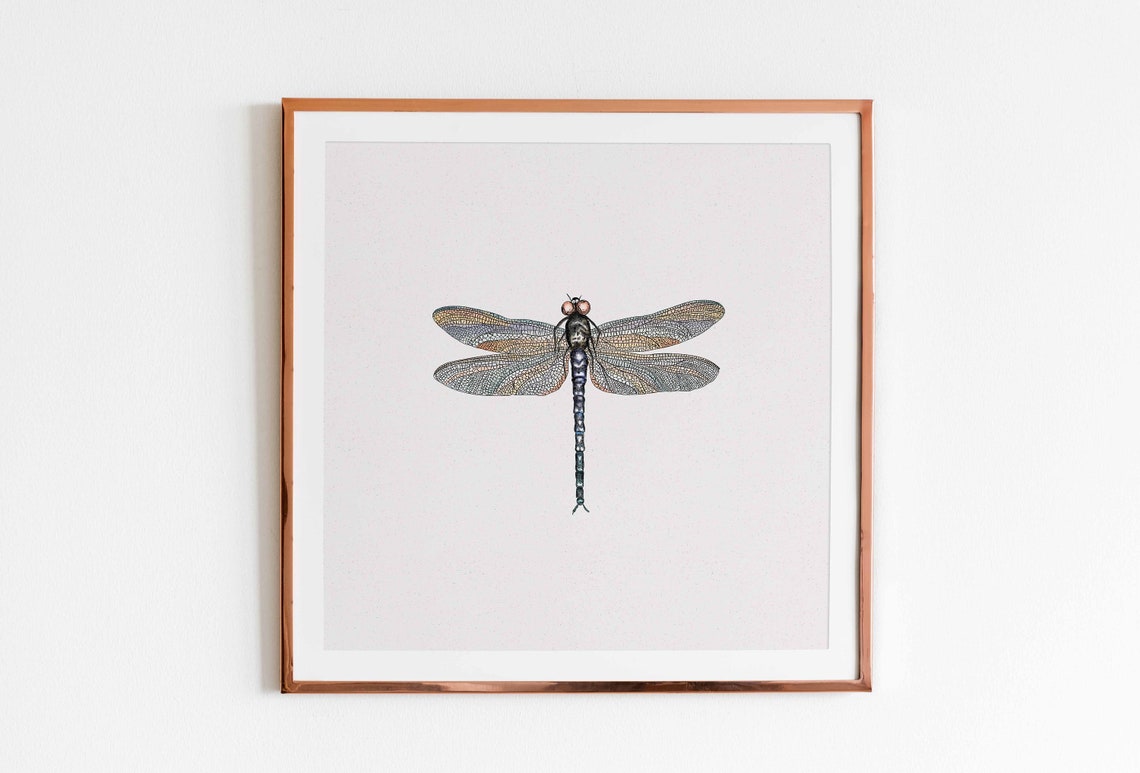 Dragonfly Print, Insect Poster, Dragonfly Art, Colored Dragonfly ...