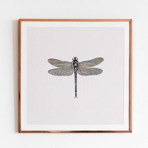 Dragonfly Print, Insect Poster, Dragonfly Art, Colored Dragonfly ...
