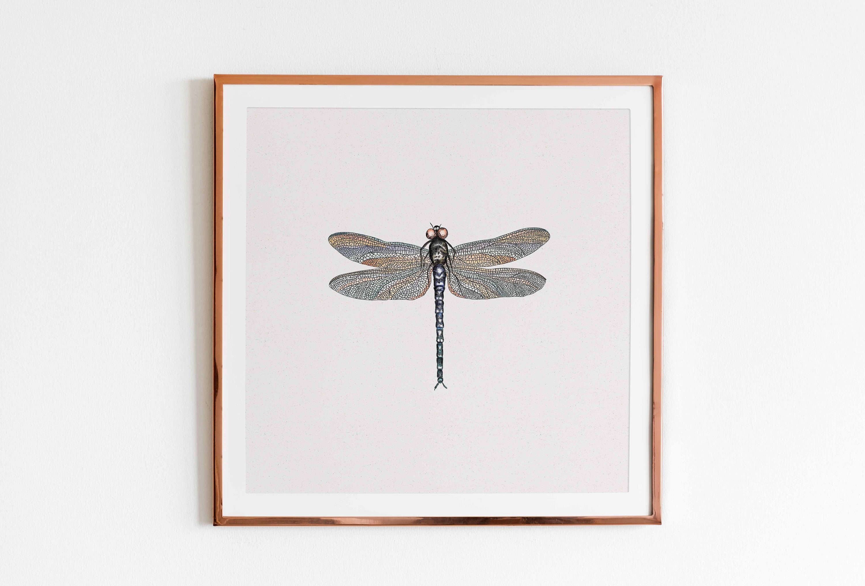 Dragonfly Print, Insect Poster, Dragonfly Art, Colored Dragonfly ...