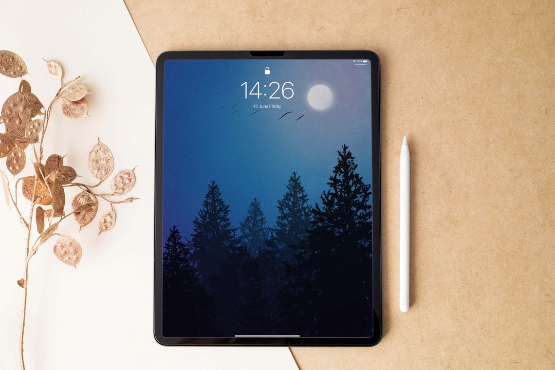 IPad Wallpaper Night Scene, Moon Night Trees Wallpaper, Aesthetic ...