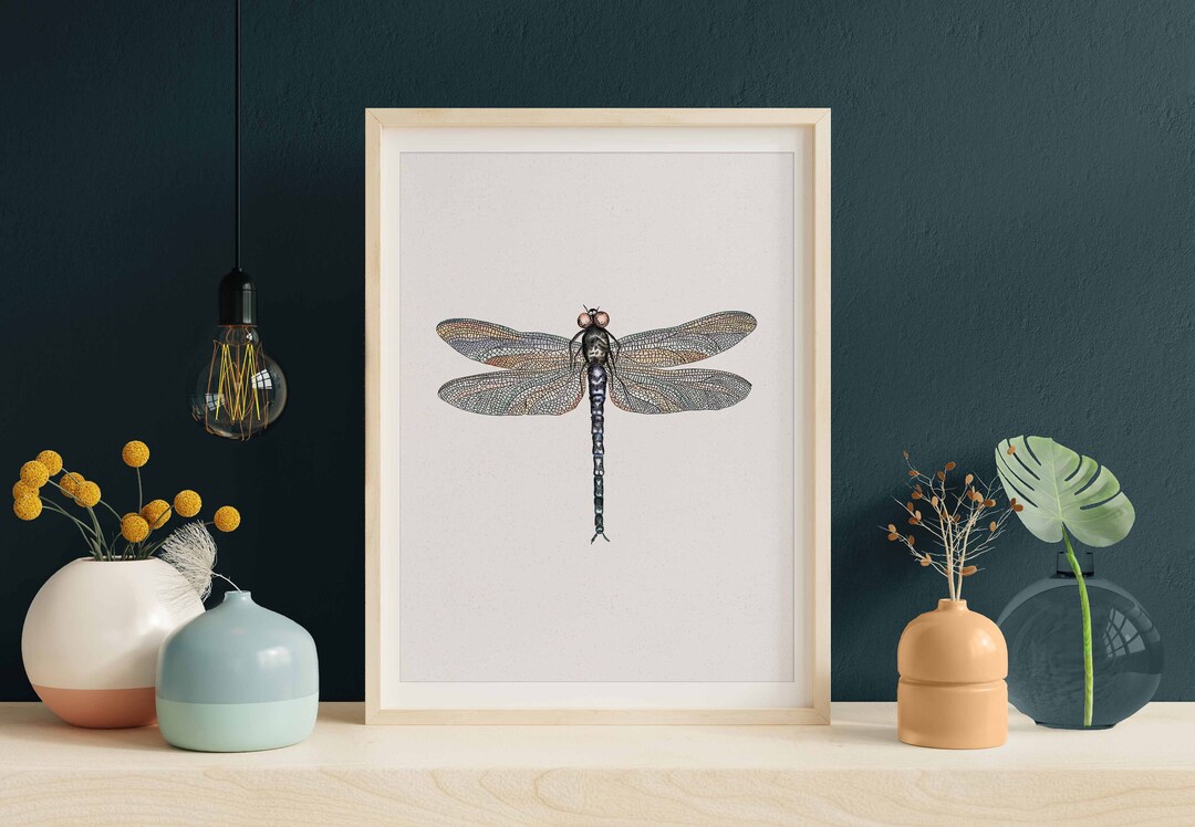 Dragonfly Print, Insect Poster, Dragonfly Art, Colored Dragonfly ...