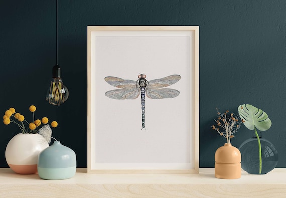 Dragonfly Print Insect Poster Dragonfly Art Colored - Etsy