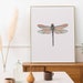 Colorful Dragonfly Print, Insect Poster, Dragonfly Art Colored ...