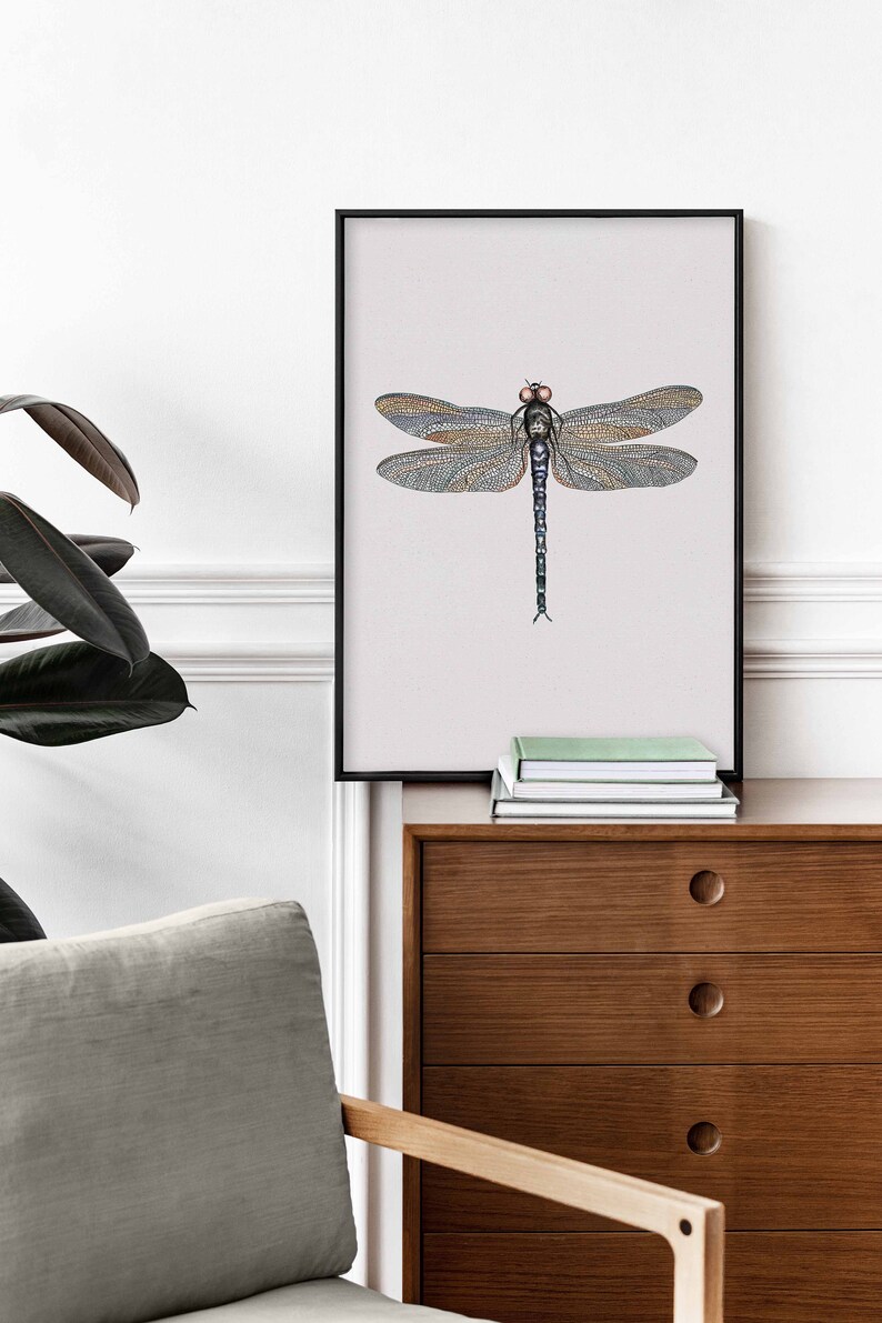 Dragonfly Print Insect Poster Dragonfly Art Colored - Etsy