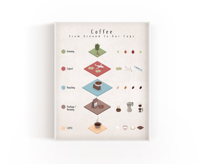 Coffee Chart Kitchen Print Barista Coffee Infographic Art - Etsy