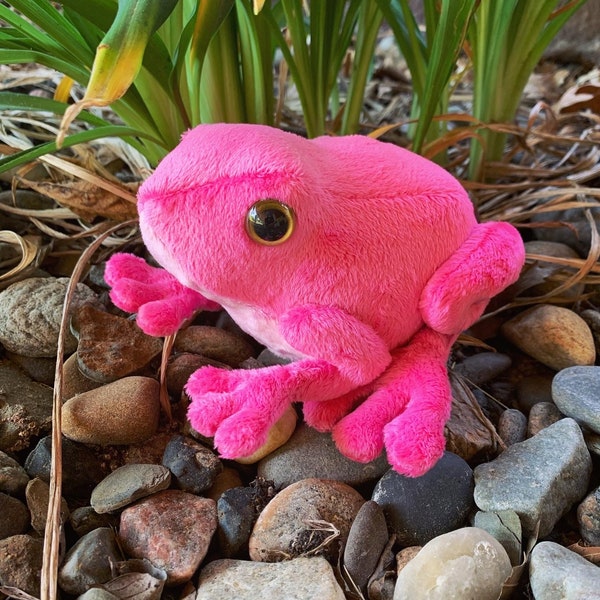 Frog Plush - Etsy