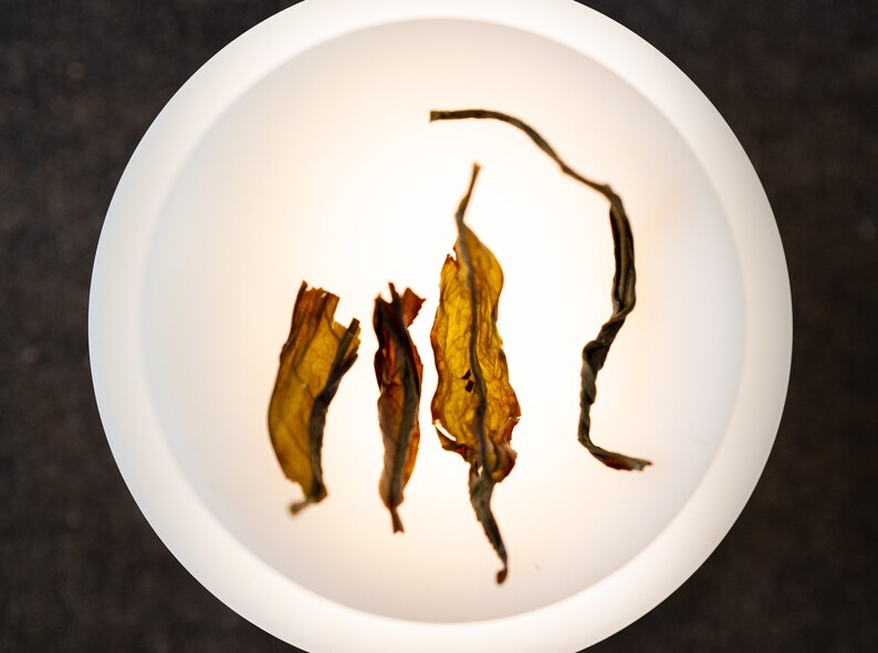 Ao Fu Hou 凹富后 2023 Rock Tea - Etsy