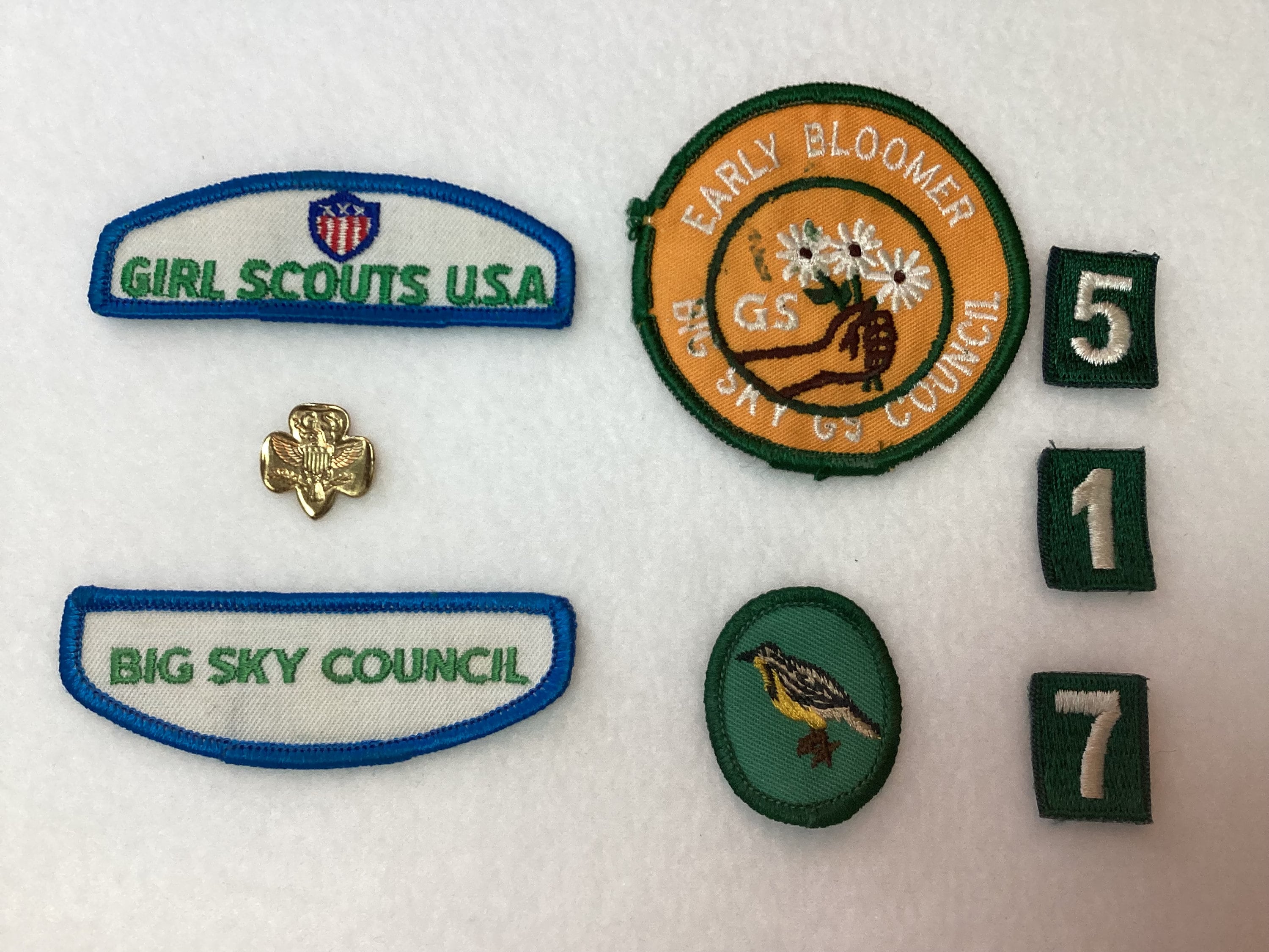 Girl Scout Patches and Pin - Etsy
