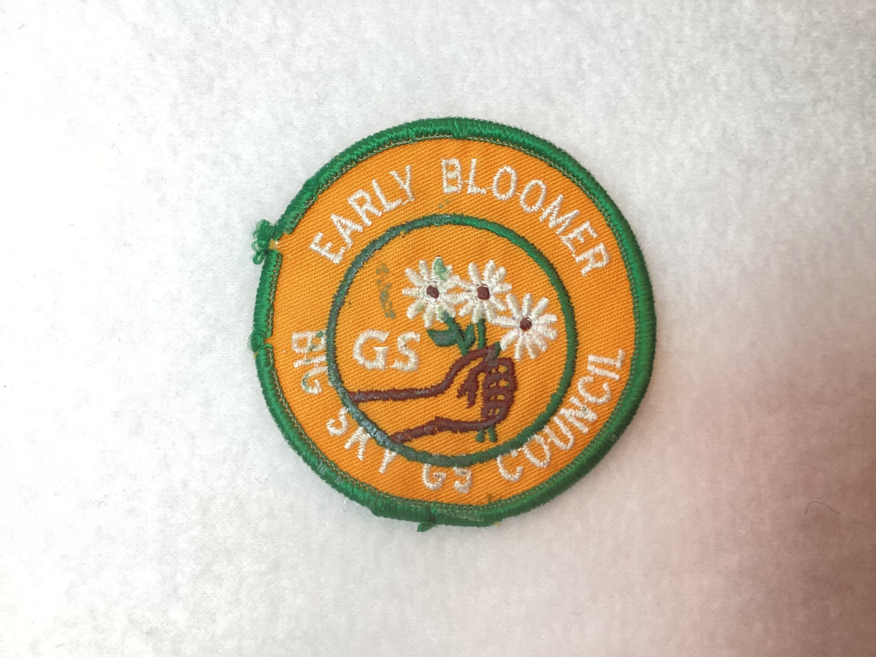 Girl Scout Patches and Pin - Etsy