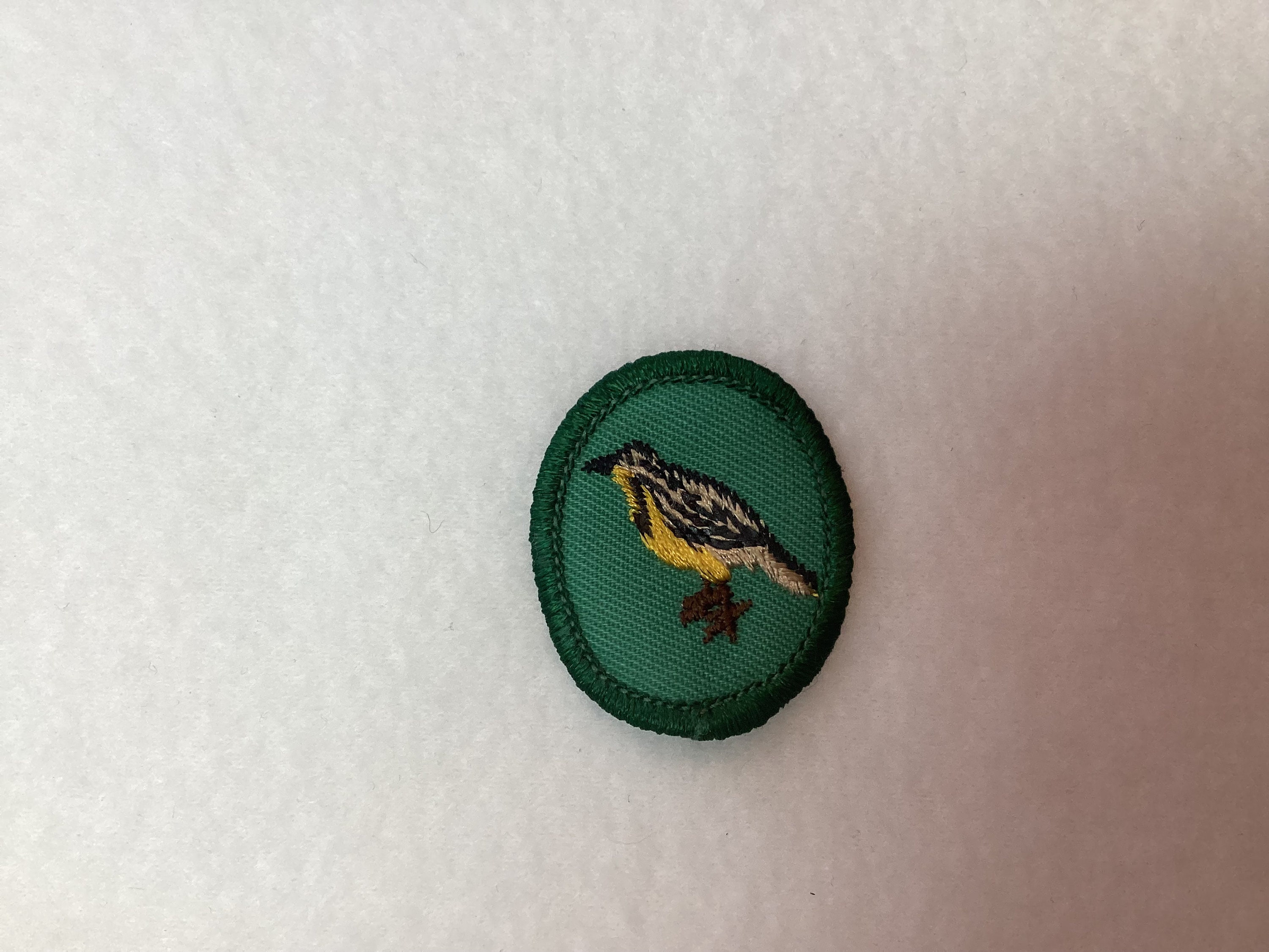 Girl Scout Patches and Pin - Etsy