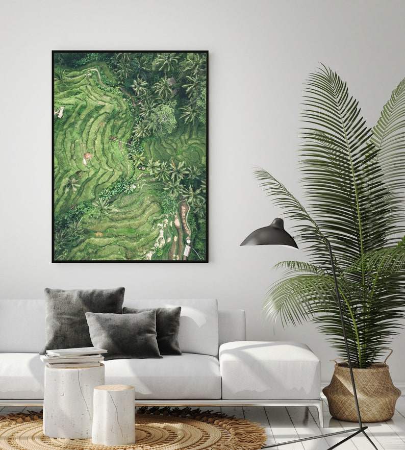 Bali Jungle Poster Tegalalang Rice Terrace Poster Rice Breed - Etsy